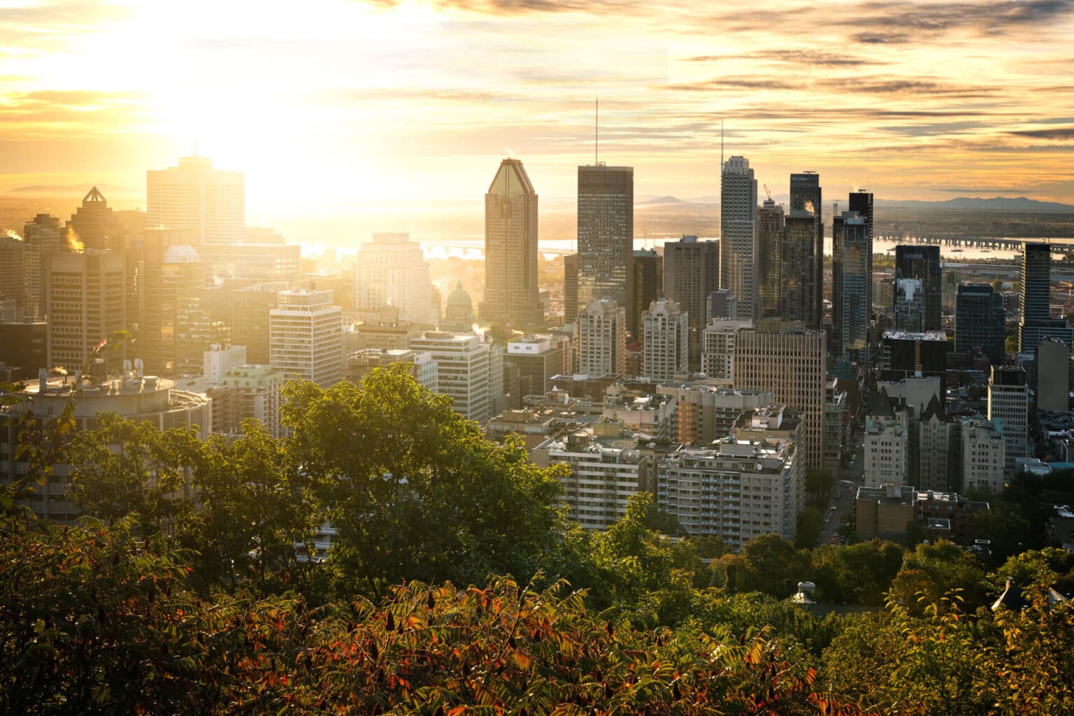 ITHQ Hotel in Montreal | Official website