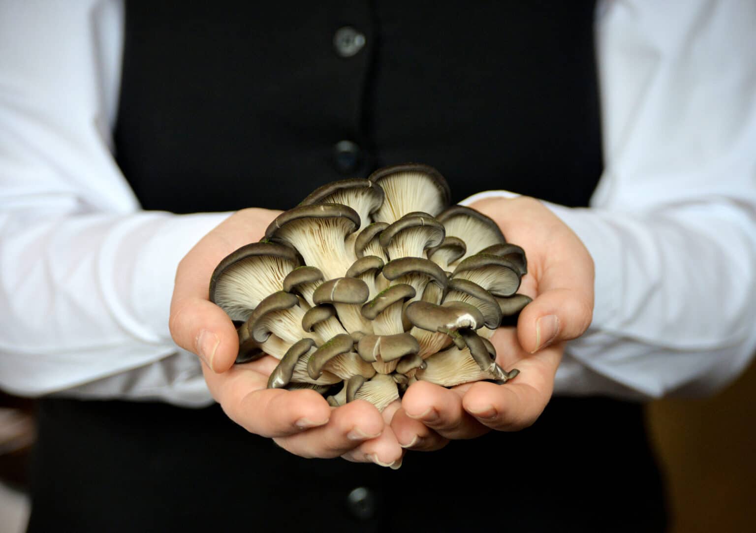 ITHQ Restaurant | Québec terroir on your plate